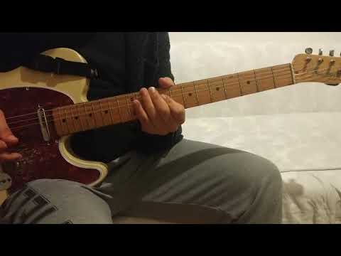 Duman Sayın Bayan Gitar Dersi