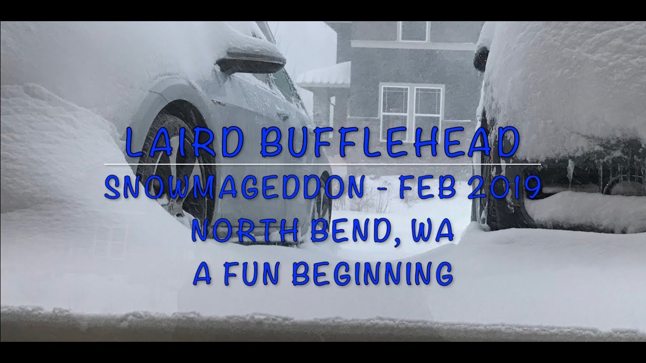 Snowmageddon - North Bend WA - A Fun Beginning - Feb 2019 - YouTube