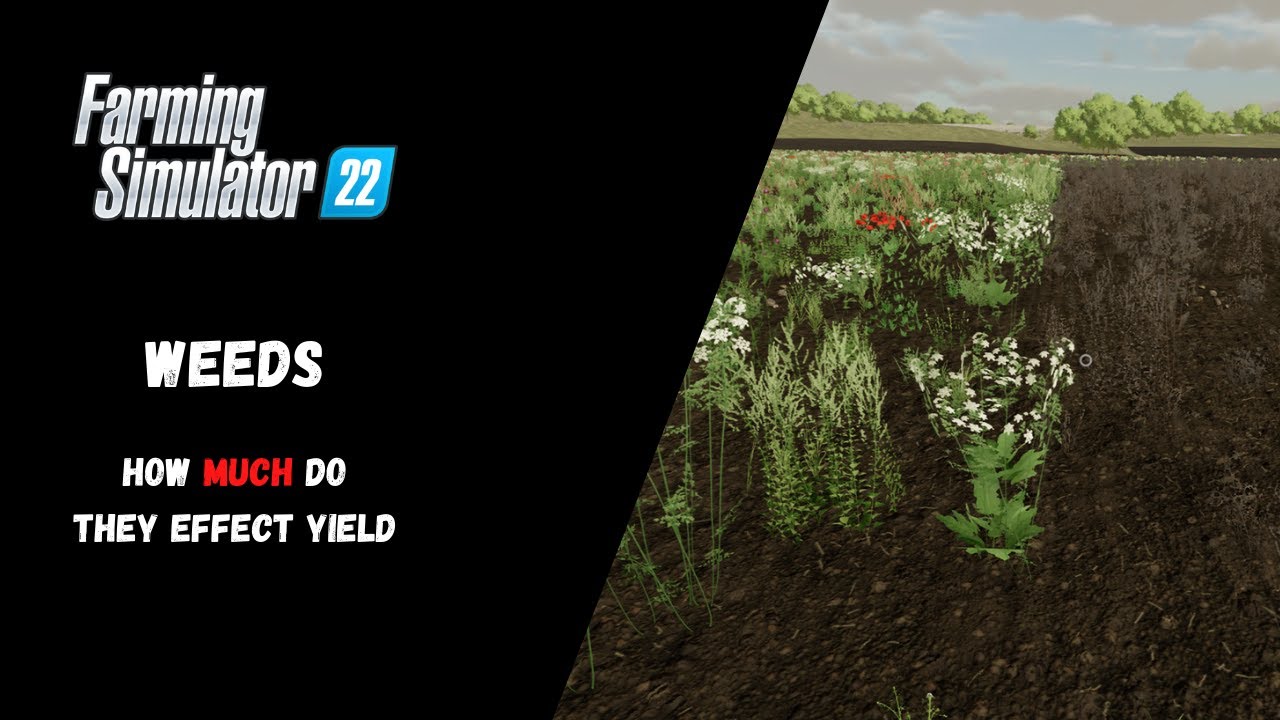 FS22 - Weeds, How Much Do They Effect Yield - Farming Simulator 22 ...