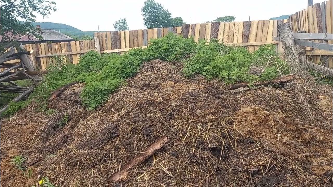 Про скотный двор, изменения. - YouTube
