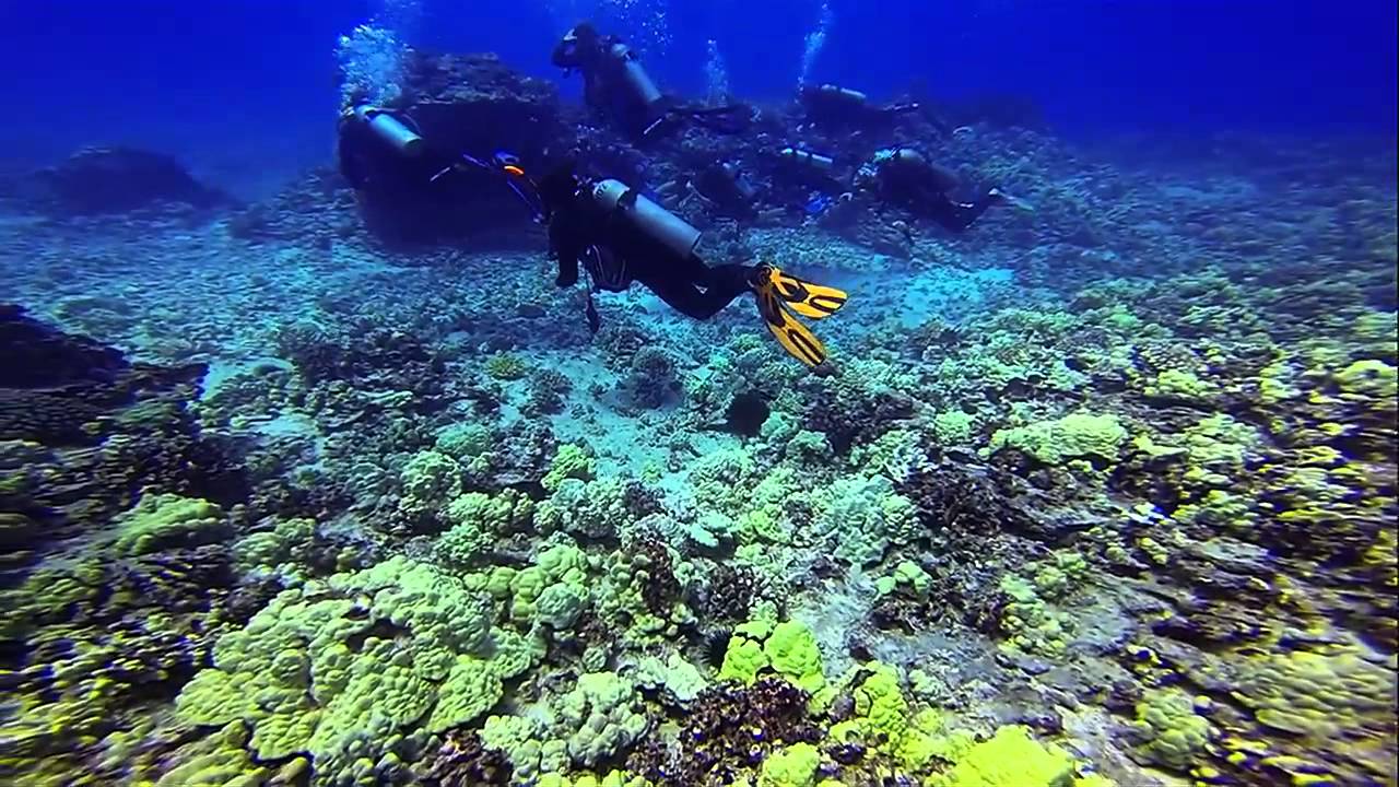 Scuba Diving in Oahu Hawaii - YouTube