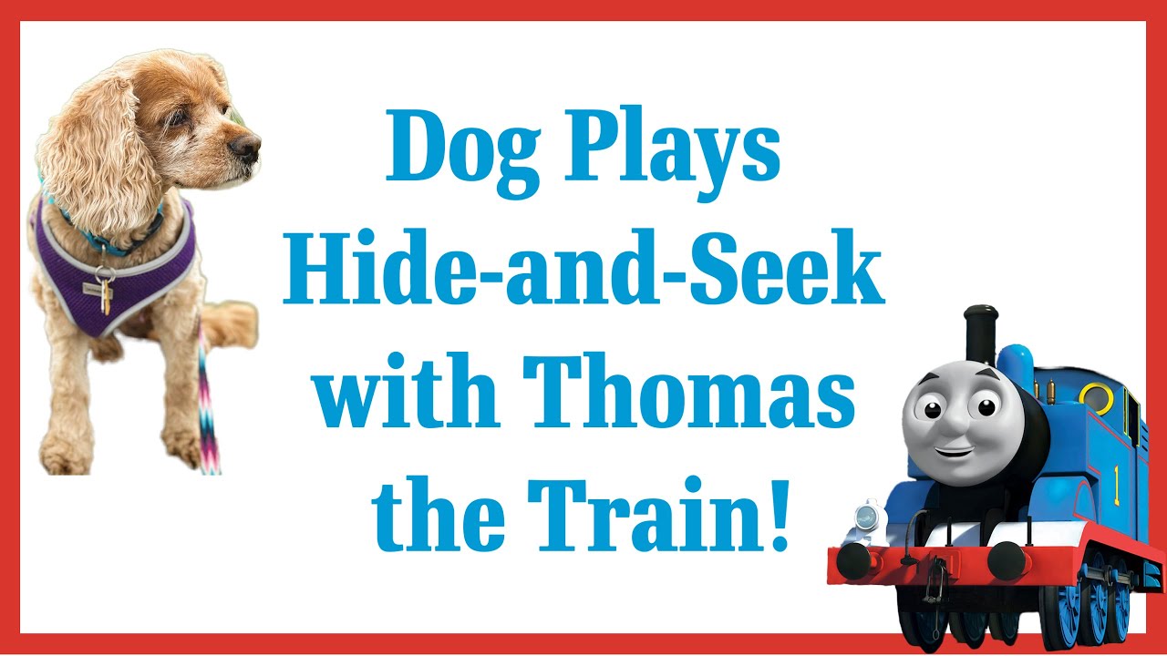 Dog Plays Hide And Seek With Thomas The Train - YouTube