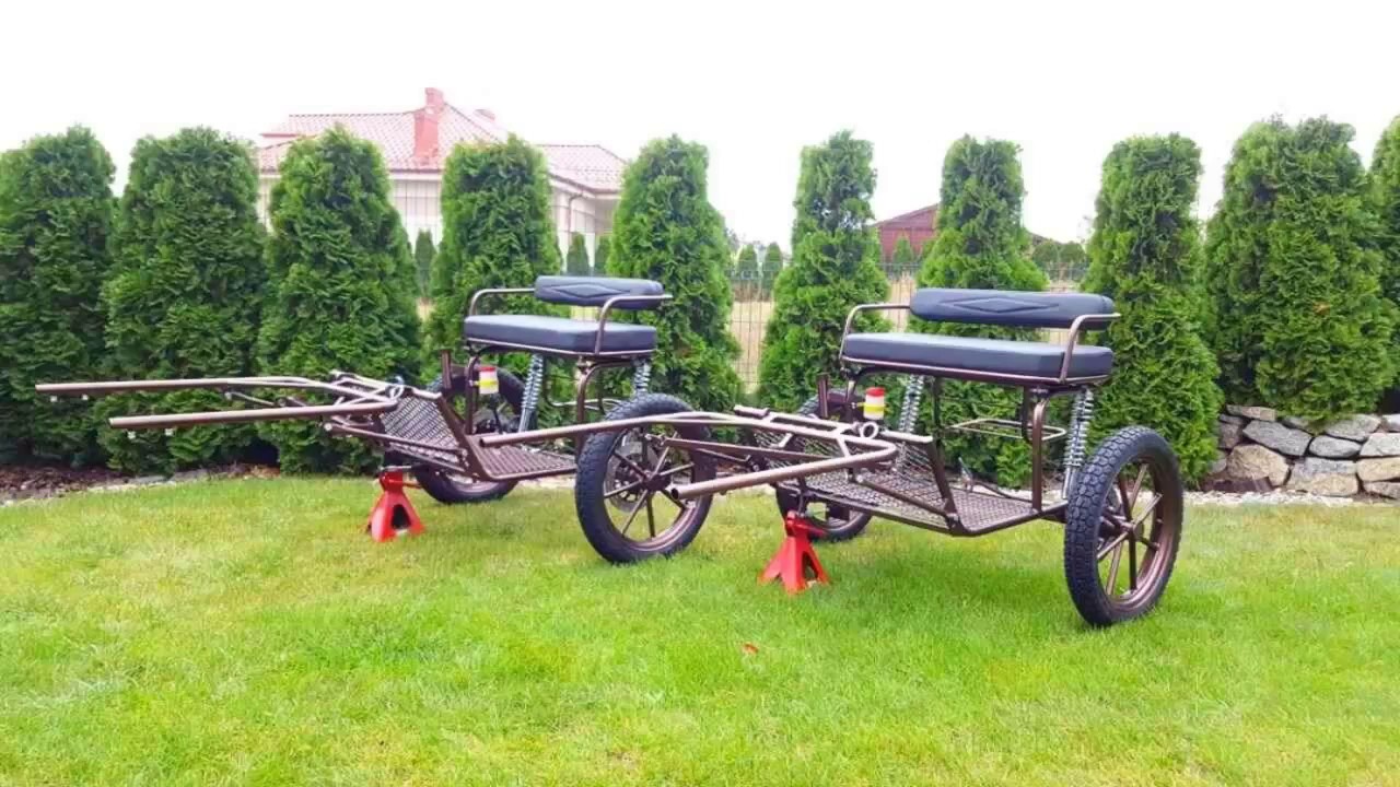 Cart Gig Big Pony by Royal Horse Carriages - YouTube