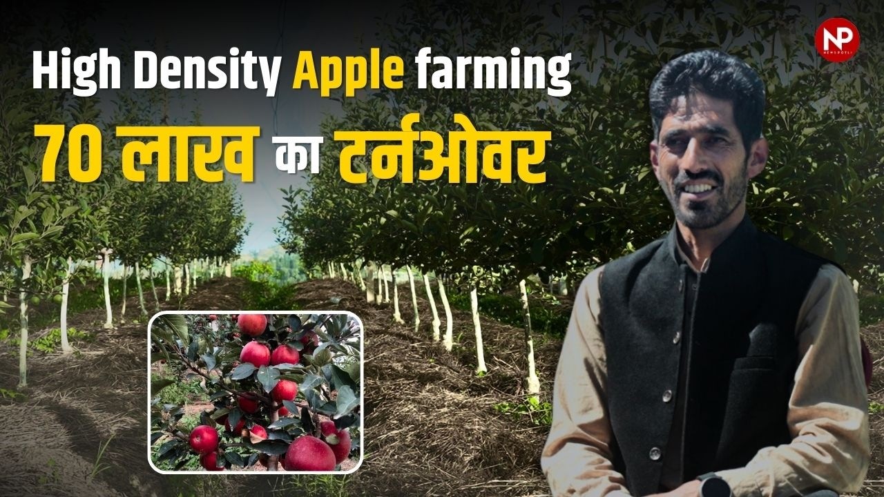 High density Apple farming: 70 लाख का सालाना टर्नओवर 💯 || Apple 🍎 ...