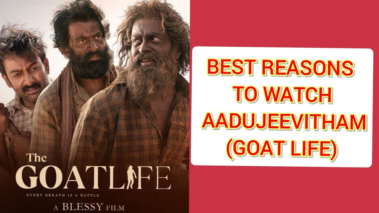 Reasons to watch malayalam film movie Aadu Jeevitham goat life ...