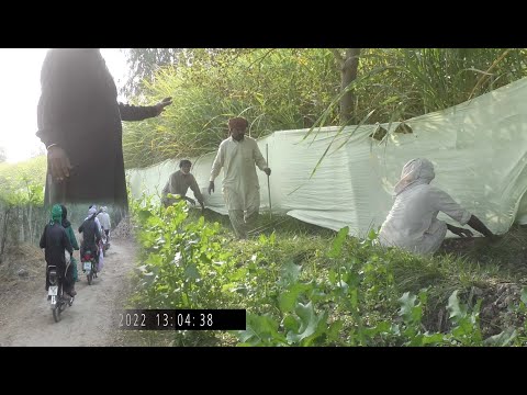 Shakier Punjab Sower ka Pakistan Shikaar Grey Hounds  Waseem 4K Movies 2023