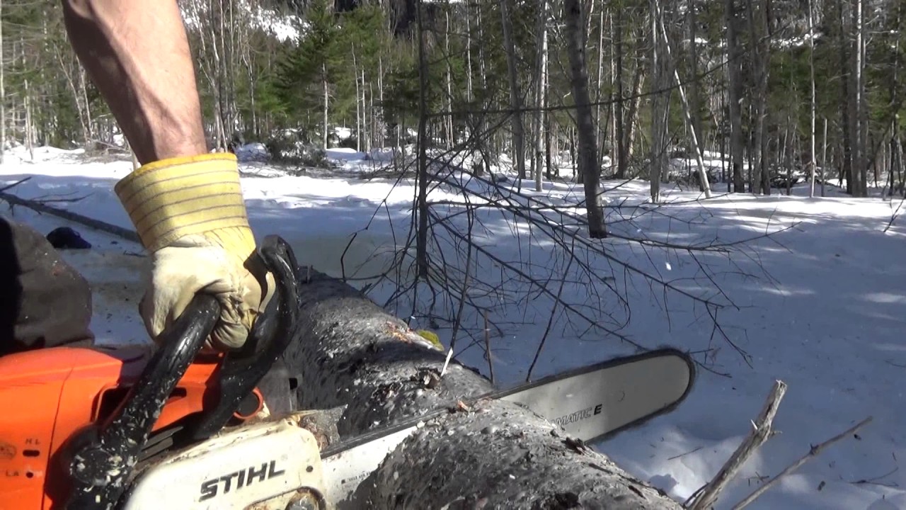 BALSAM FIR SAW LOGS - YouTube