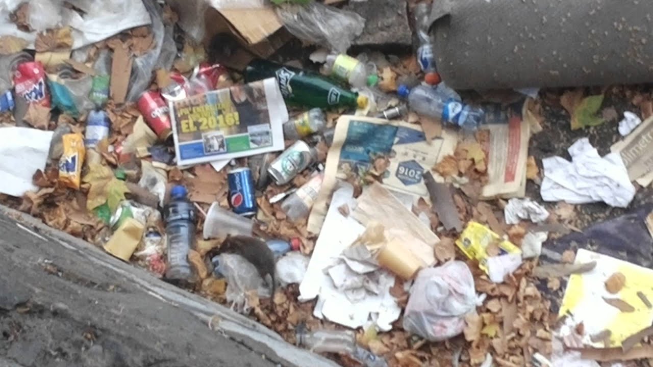 Guarenes en el Rio Mapocho de Santiago. Inpresentable !! - YouTube