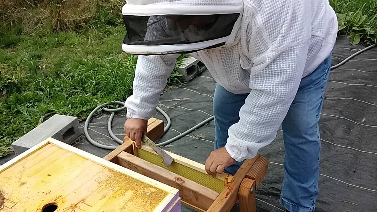 Beehive inspection for grandchildren - YouTube