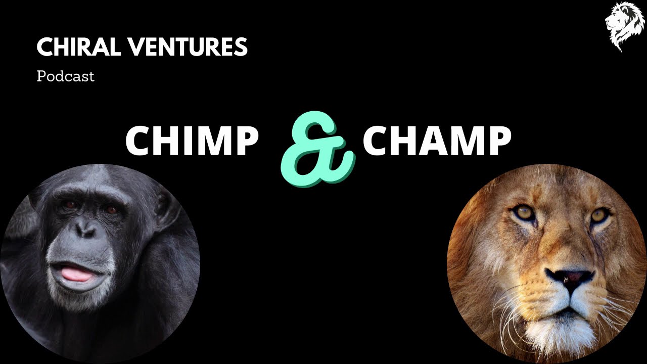 Chimp and Champ Podcast Intro - YouTube