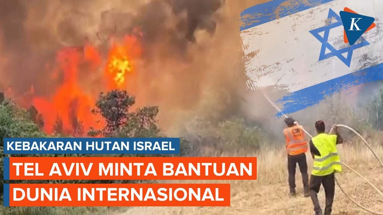 Kebakaran Israel Membakar Hutan di Yerusalem, Tel Aviv Minta Bantuan ...