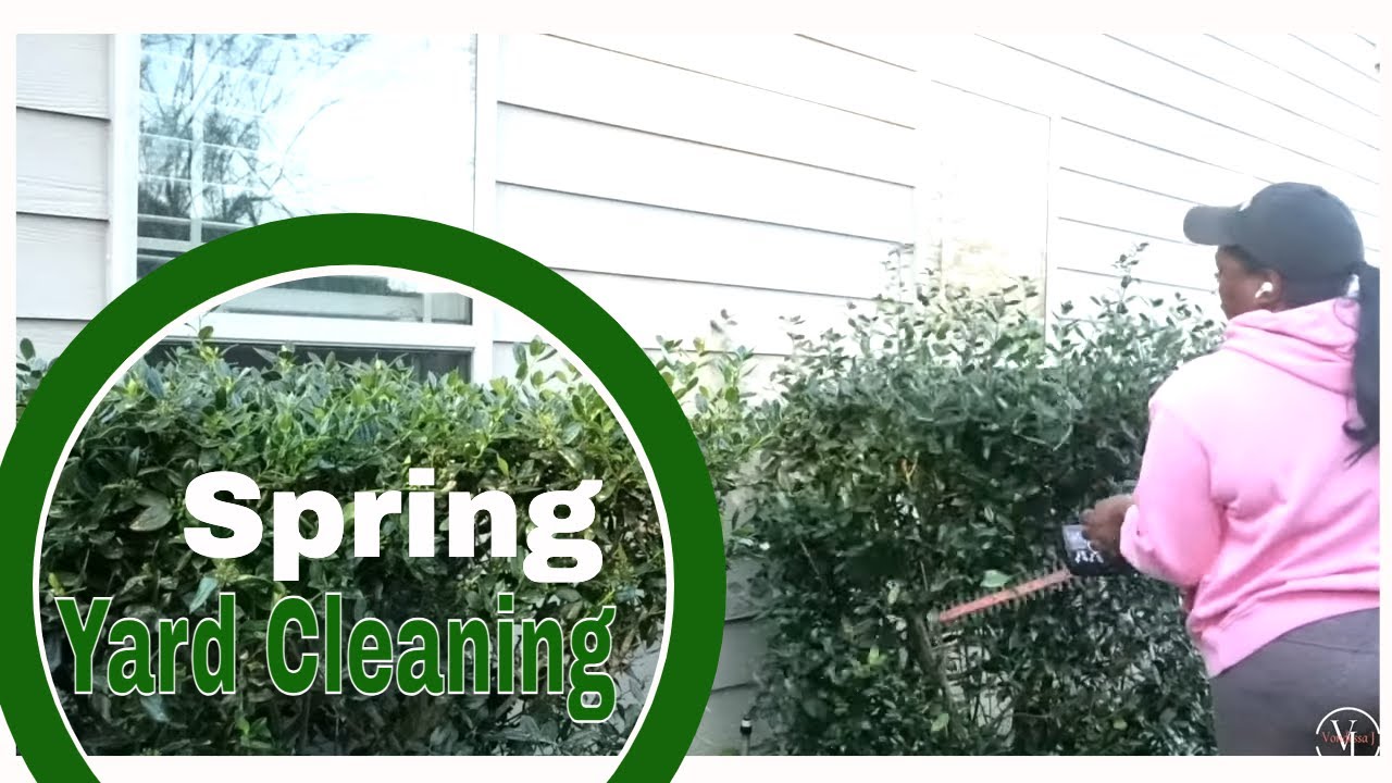 SPRING YARD WORK AND YARD MAINTENANCE | Snake Skins, Ant Nest and more ...