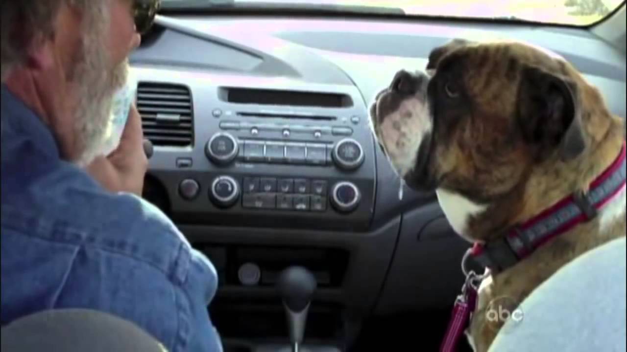 ☺ AFV Part 8 NEW! America's Funniest Home Videos 2012 OrangeCabinet ...