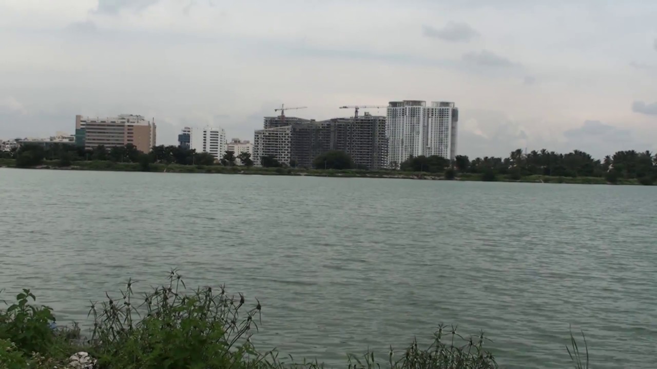 Rachenahalli lake Bangalore - A living lake - YouTube