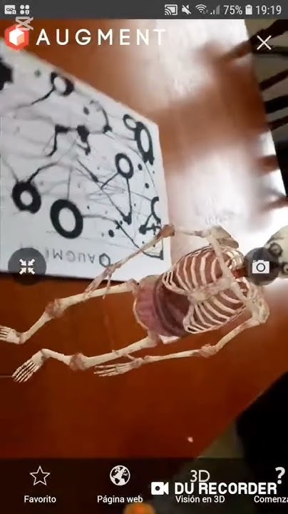 Augment 3D RA - YouTube