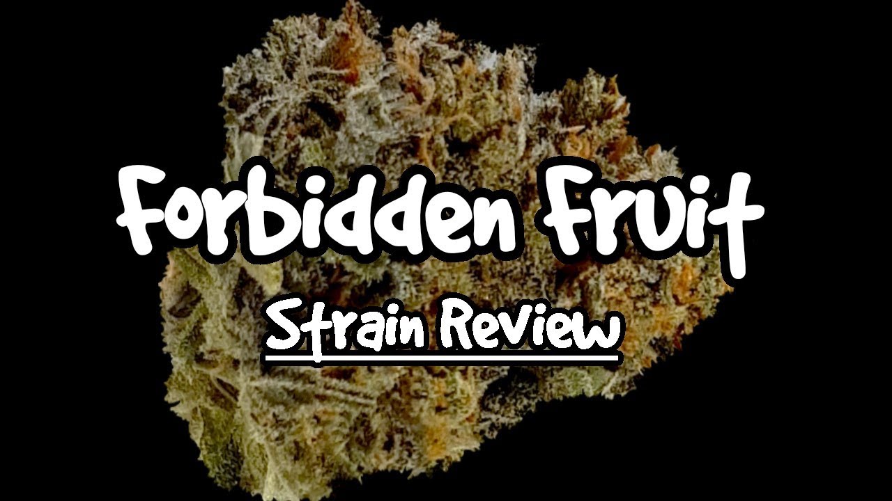 Strain Review - Forbidden Fruit - YouTube