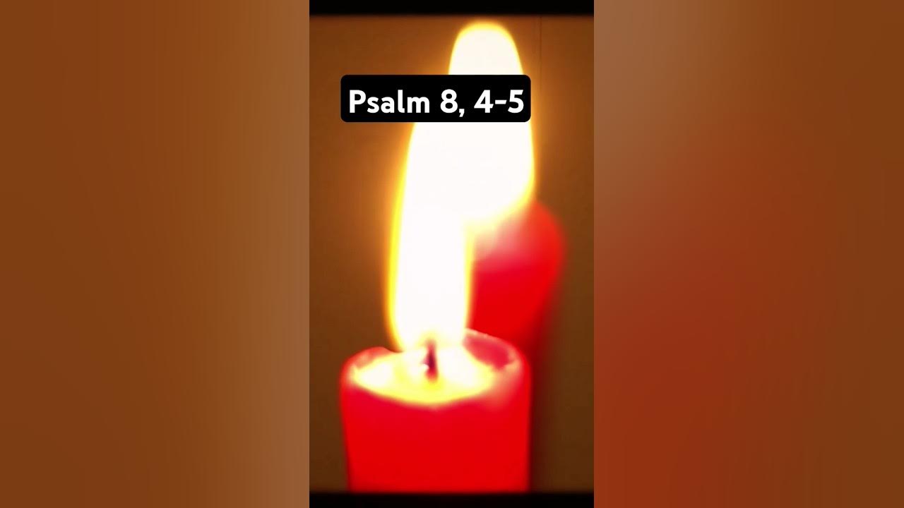 psalm-8-4-5-bible-beauty-jesus-creation-christian-youtube