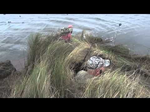"Dead Bird" November Duck Hunt - YouTube