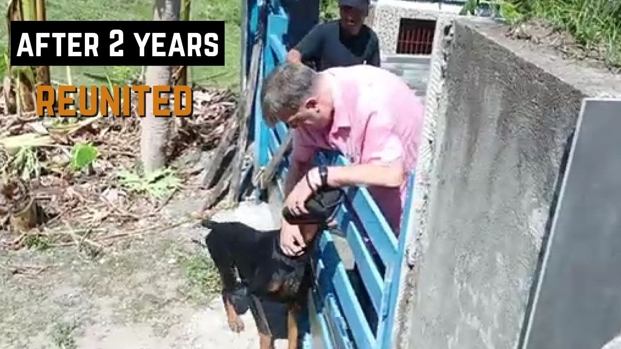 Reunited After 2 years. Bluey and Blacky Still remembers us #2023 # ...
