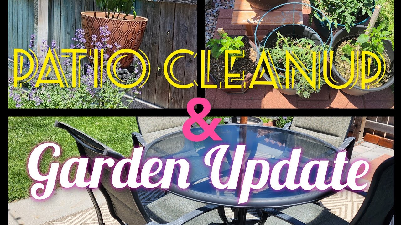 PATIO CLEANUP DAY // NEW OUTDOOR RUG // PATIO GARDEN UPDATE - YouTube