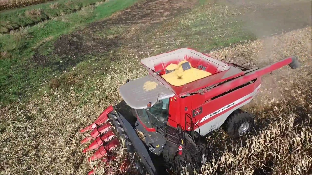 2017 High Moisture Corn Harvest (Long Version) - YouTube