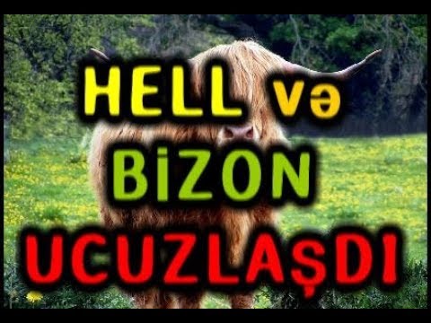 “Hell” və “Bizon” ucuzlaşdı – SƏBƏBİ