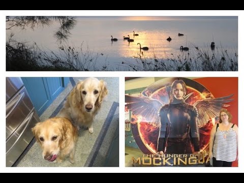 Vlogmas Day 5 - Anniversary Date Night