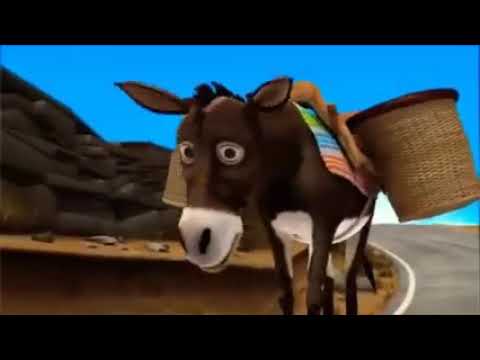 Allahın insana və heyvanlara verdiyi ömür