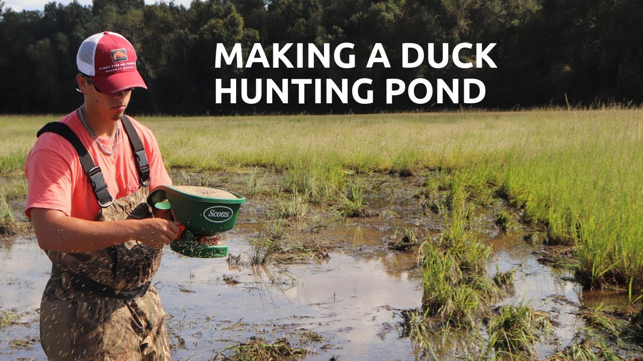 Duck Hunting: How you're gonna kill more birds! - YouTube