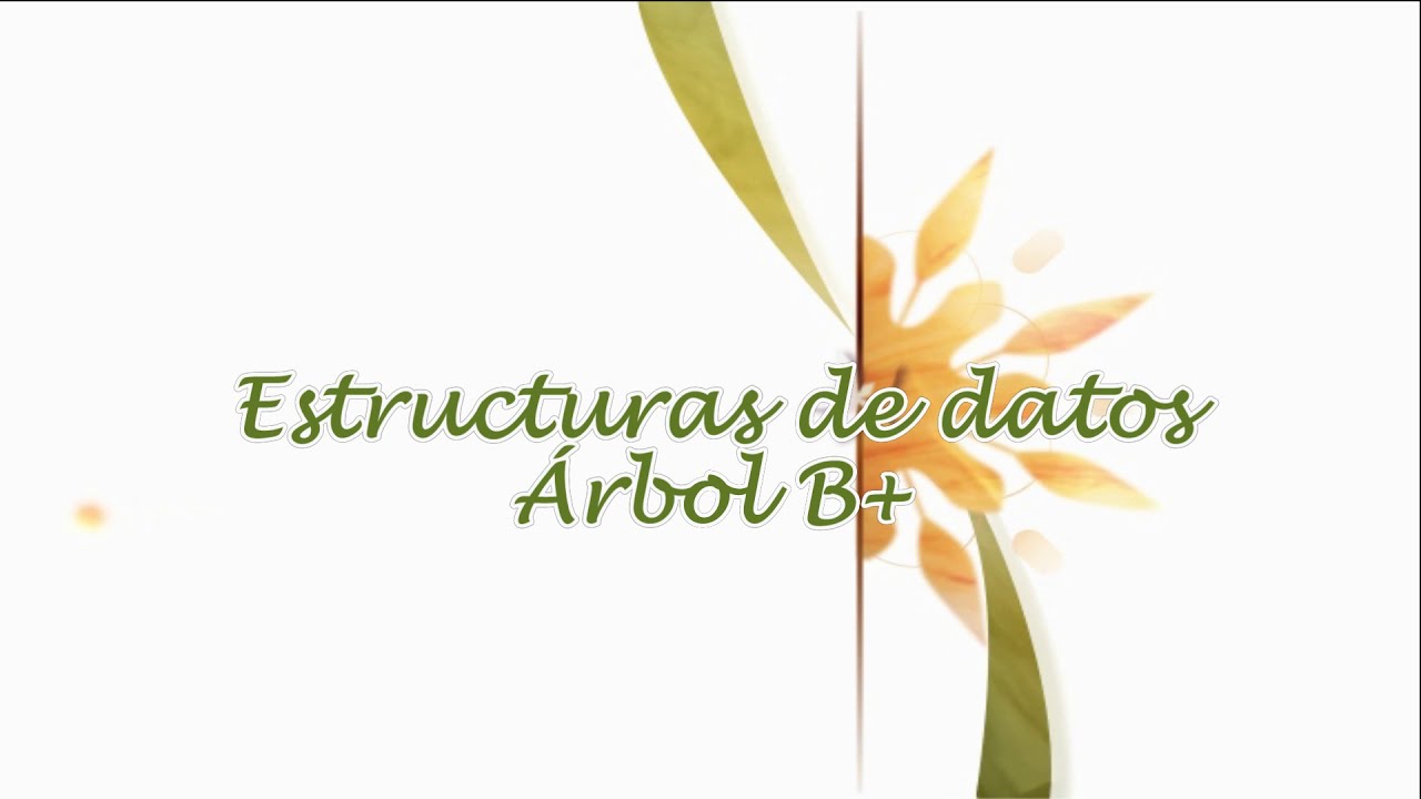 Estructuras de datos. Árbol B+ - YouTube