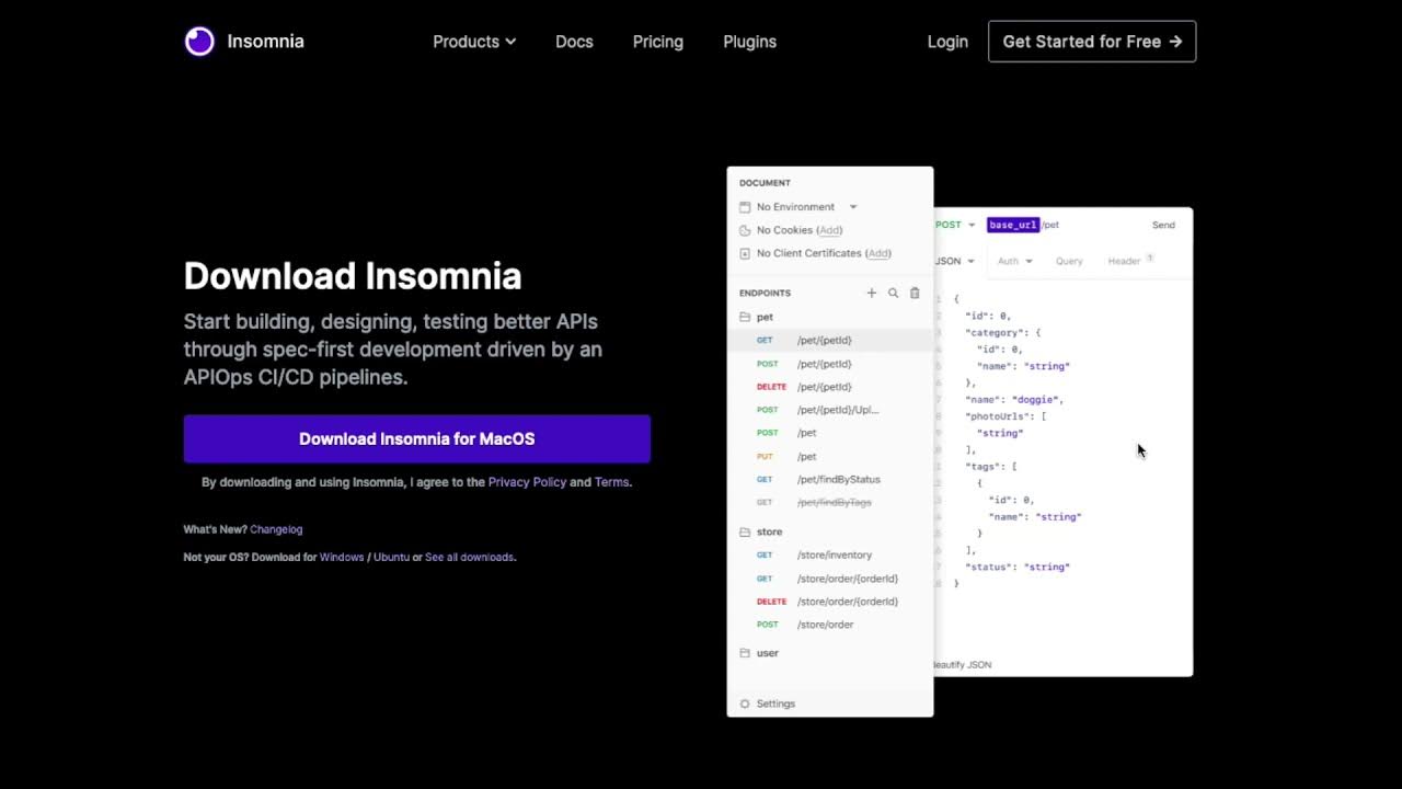 Insomnia Tutorial: API Design, Testing and Collaboration - YouTube