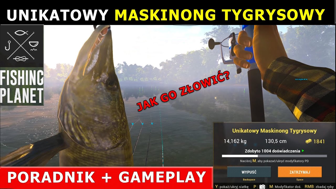 Fishing Planet. Unikatowy MASKINONG TYGRYSOWY. Unique Tiger Muskie ...