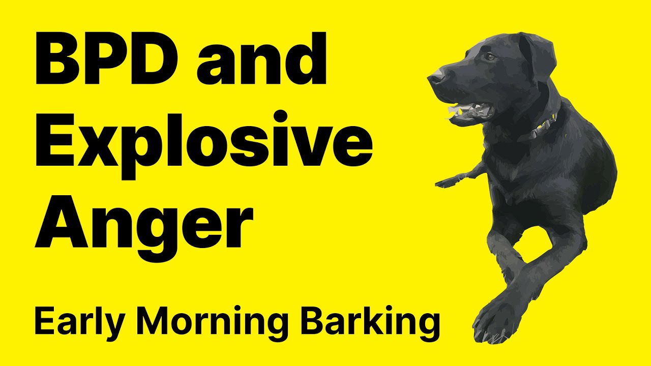 BPD and Explosive Anger | BPD | Borderline Personality Disorder - YouTube