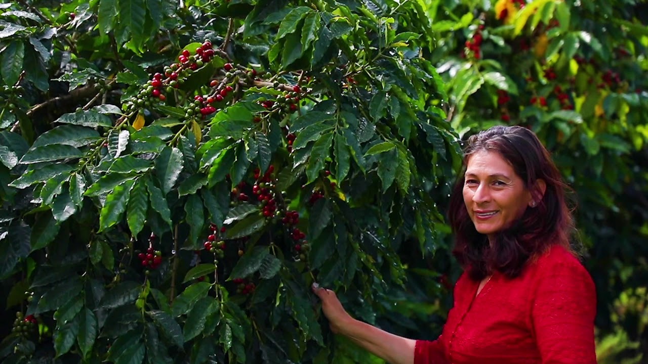 Miranda's Farms - YouTube
