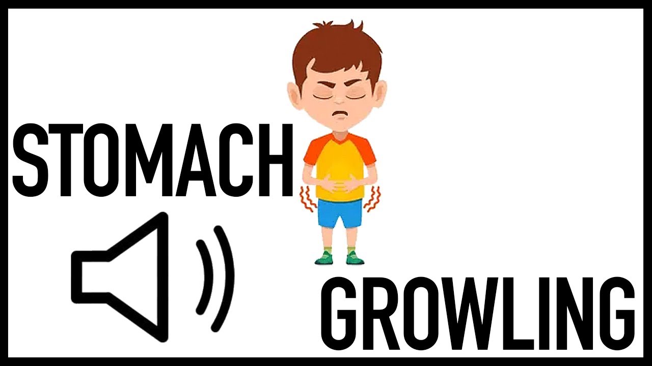 Stomach Growling Sound Effect ( HD ) - YouTube