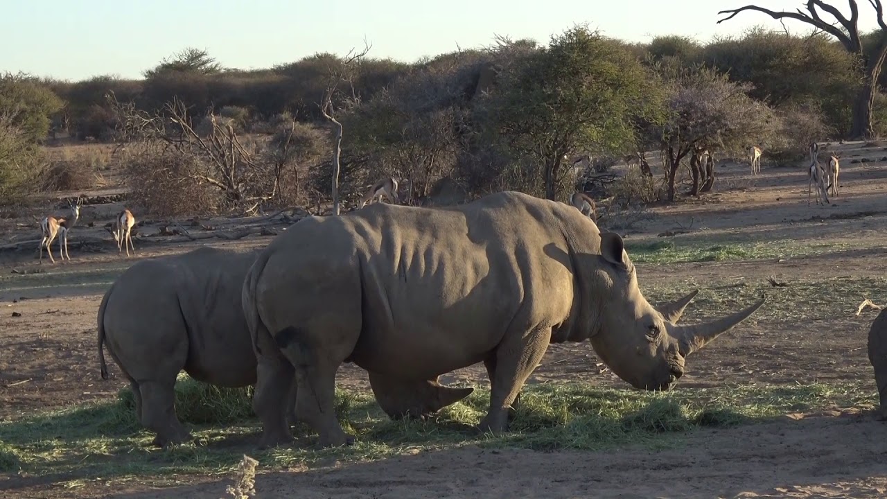 Namibia 2019 4 - YouTube