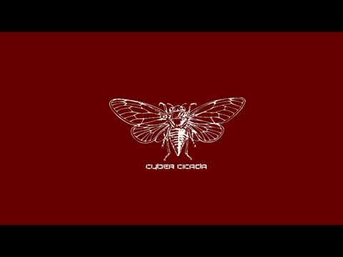 cyber cicada whatsapp cicada v.10 full version video