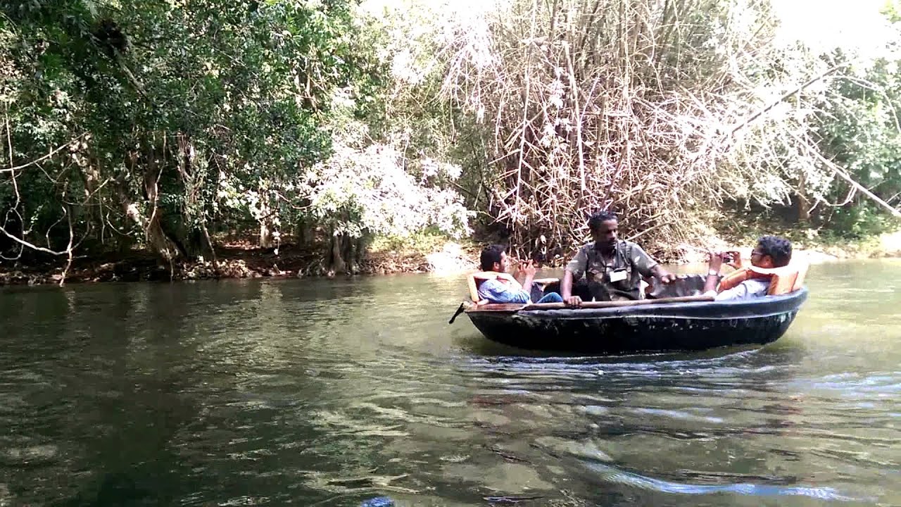 Adavi Eco Tourism (kottavanchi) - YouTube