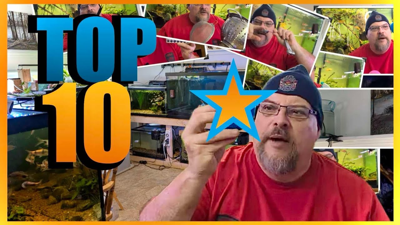 Top 10 Essential Items for your Fishroom that are already in your ...