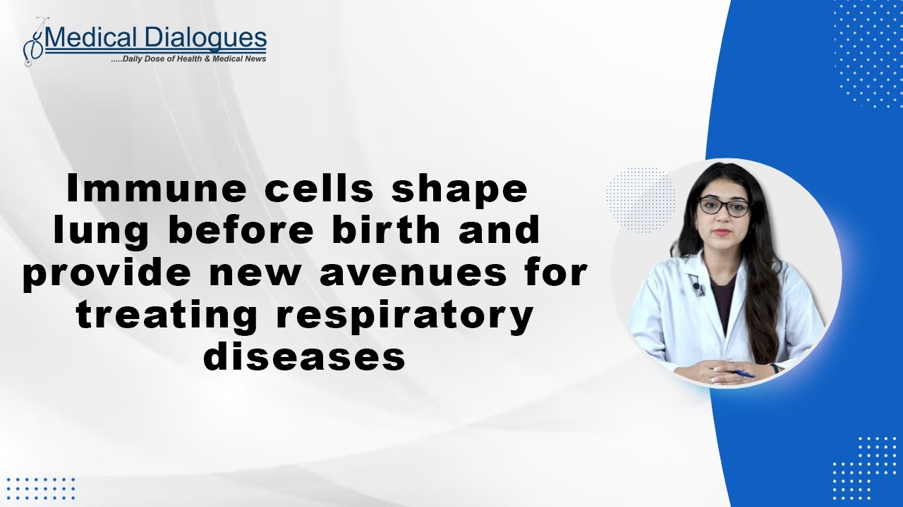 Immune cells shape lungs before birth and provide new avenues for ...