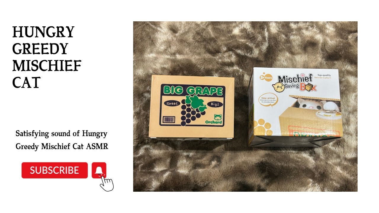 💯💫SATISFYING HUNGRY GREEDY MISCHIEF CAT😮😲ASMR #asmr #trending #cat # ...