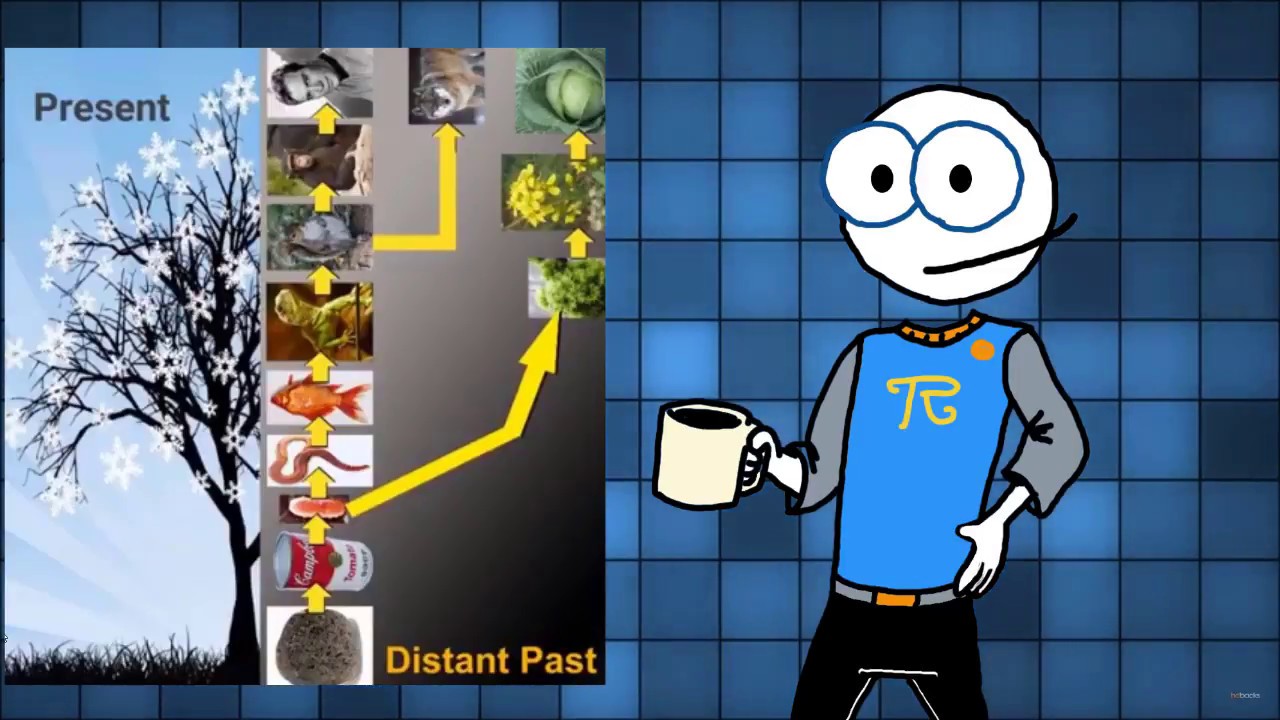 The Epic Evolution FAIL Slideshow! - YouTube