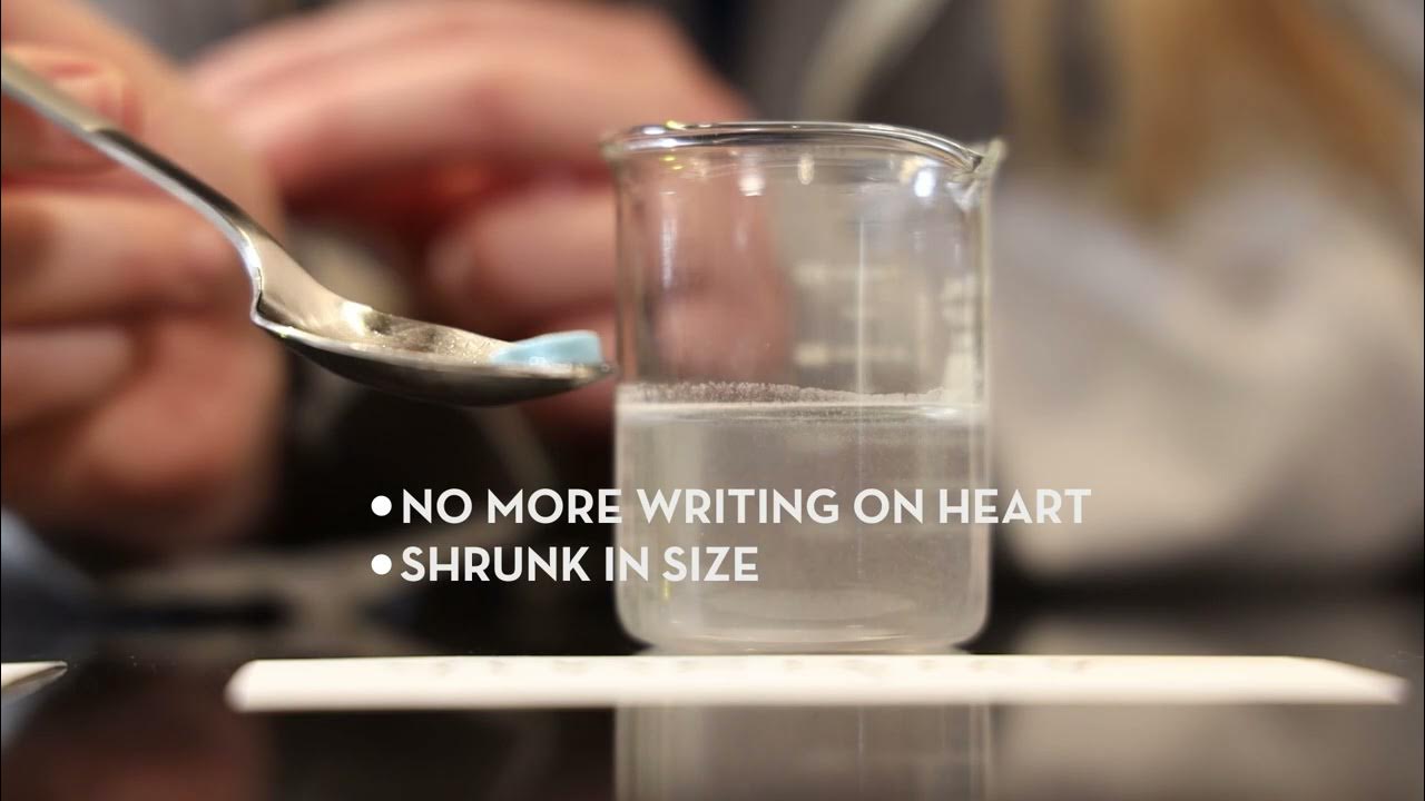 In the Lab with Discovery Place: Candy Hearts Solubility - YouTube