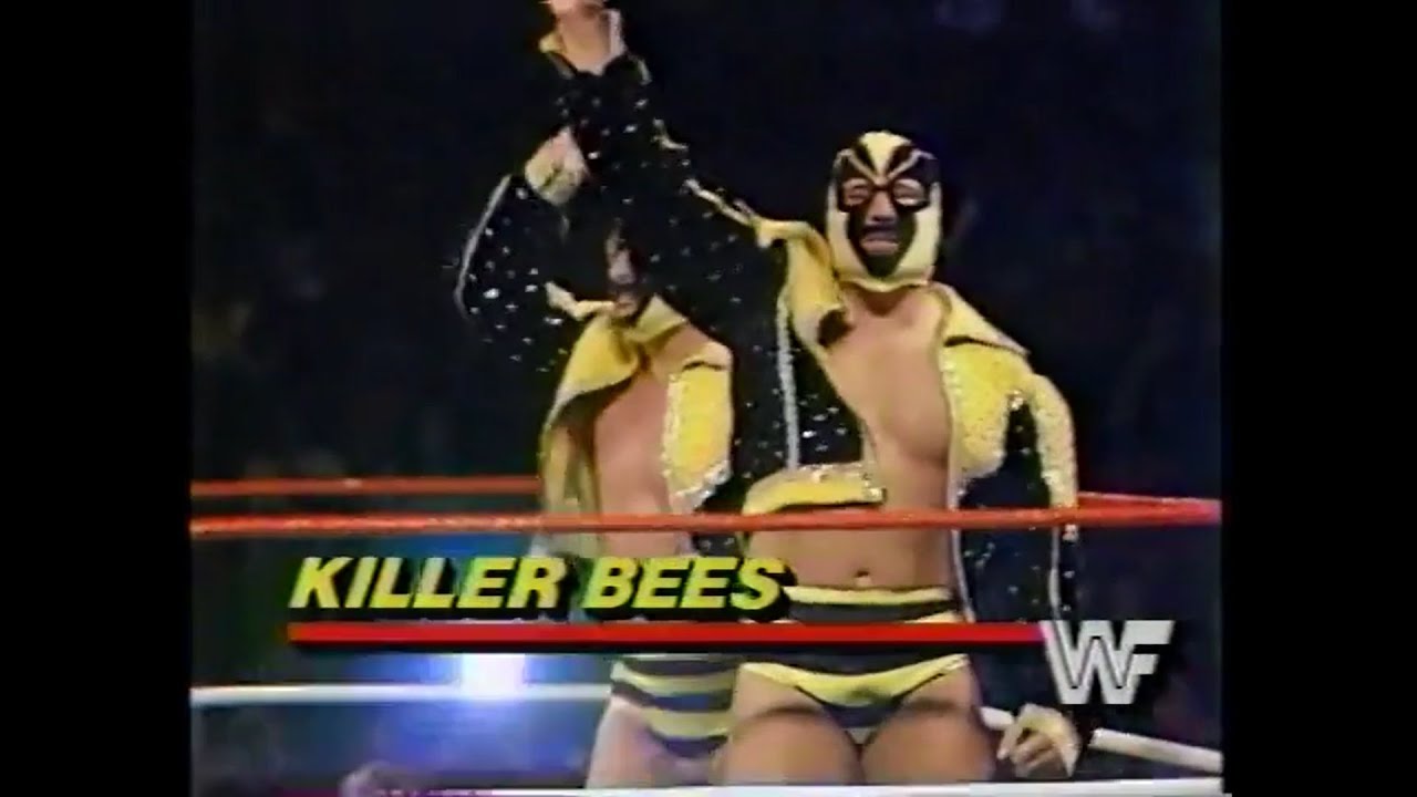 Killer Bees vs Iron Mike Sharpe & Terry Gibbs SuperStars Jan 17th, 1987 - YouTube