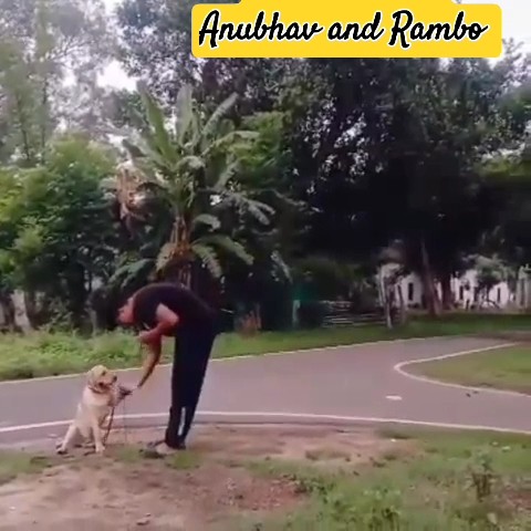 2yr agay video jkhn quarter chilm rambo tkhn 6 month baby chilo bhai ...