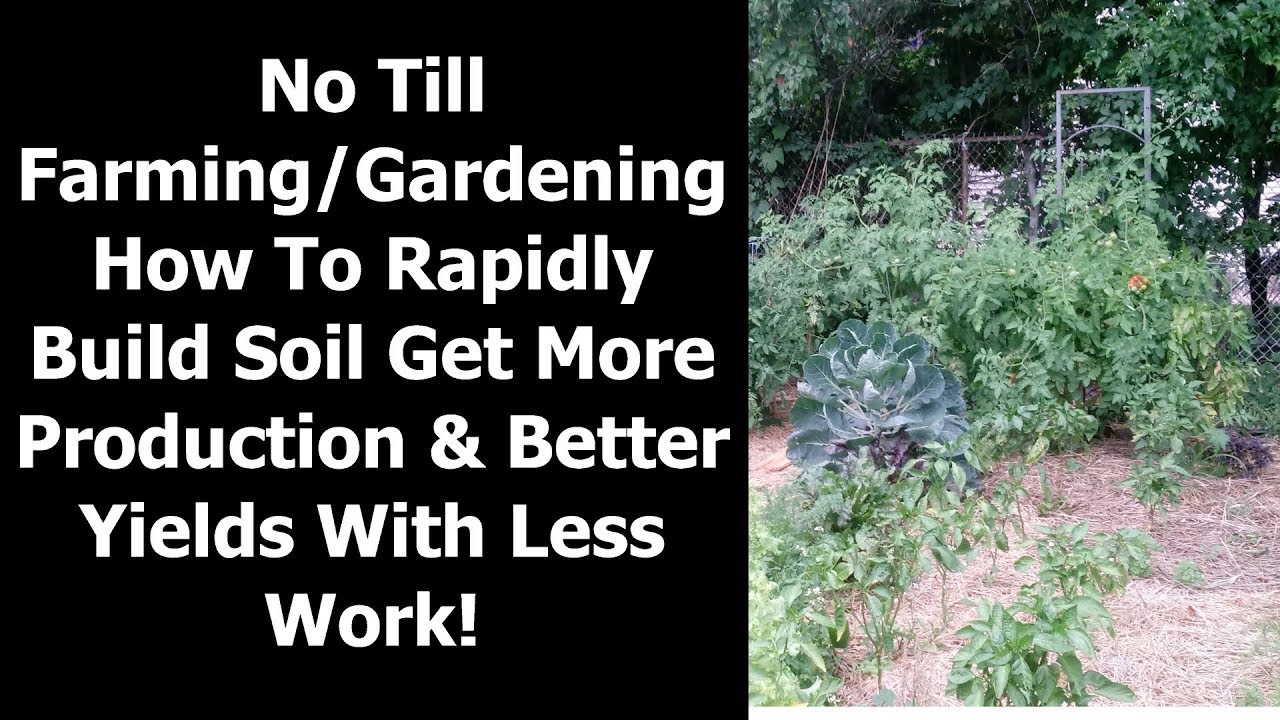 No Till Farming Gardening! No Dig Method How To Get More Production ...