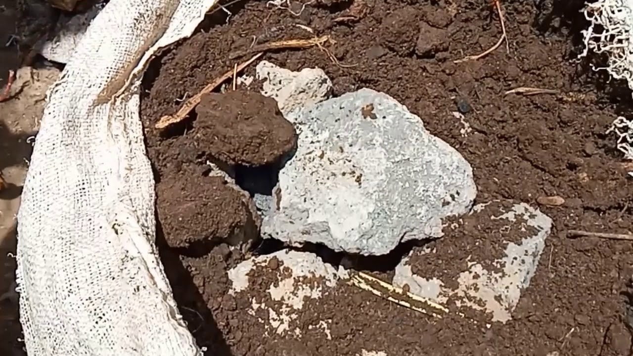 How to make a sack garden - YouTube