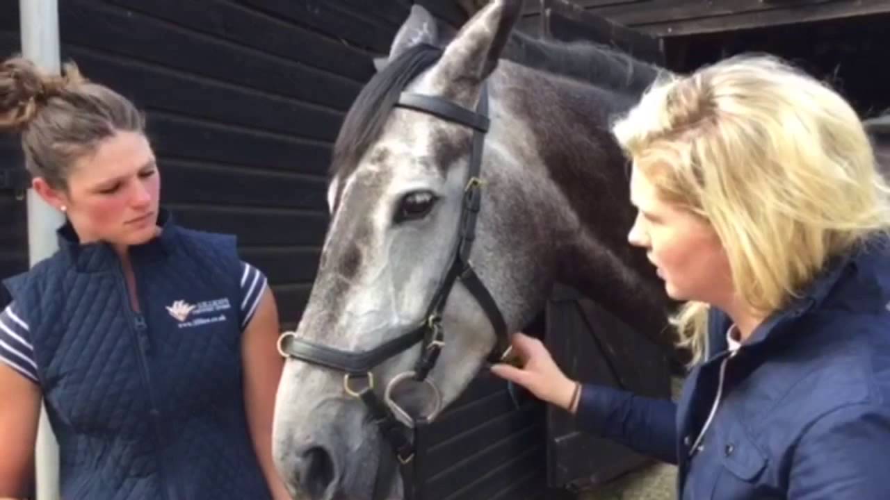 How to Fit the Micklem Bridle - YouTube