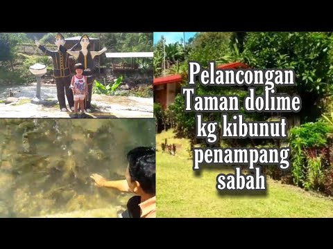 Pelancongan taman dolime|kg kibunut penampang sabah|.. - YouTube