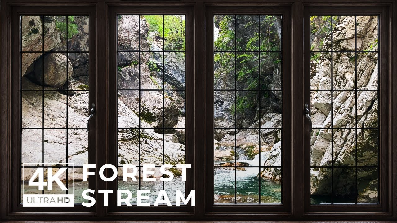 4K Forest Stream window View - Relaxing, Calming, Ambience - YouTube